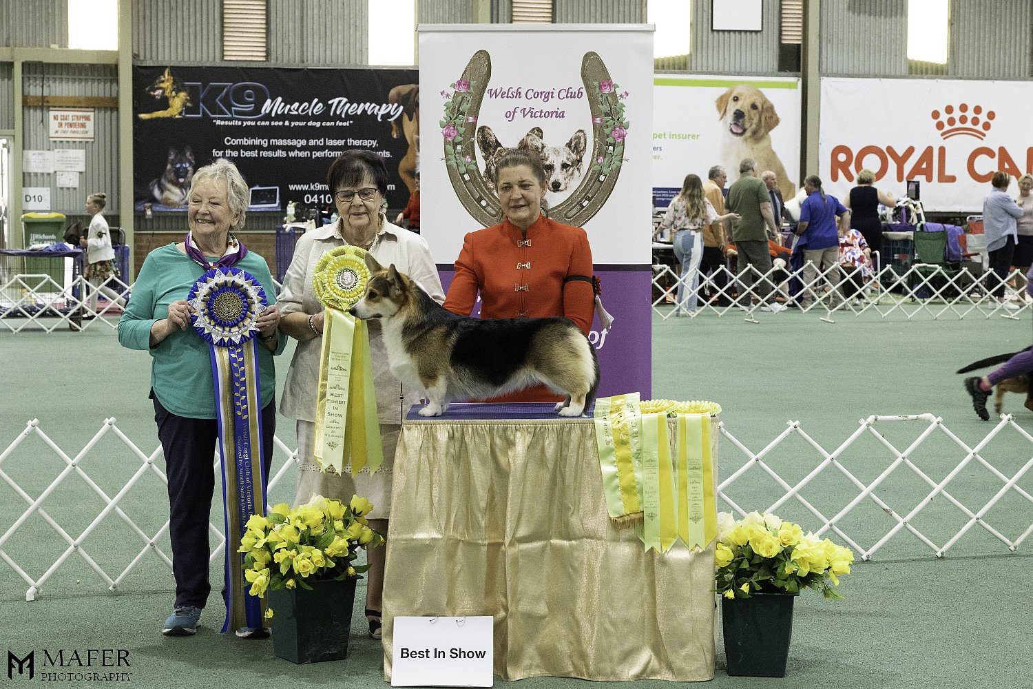 2024 CORGI CLUB OF VIC CHAMP SHOW - CORGI WINNERS - Galleries - DOG ...
